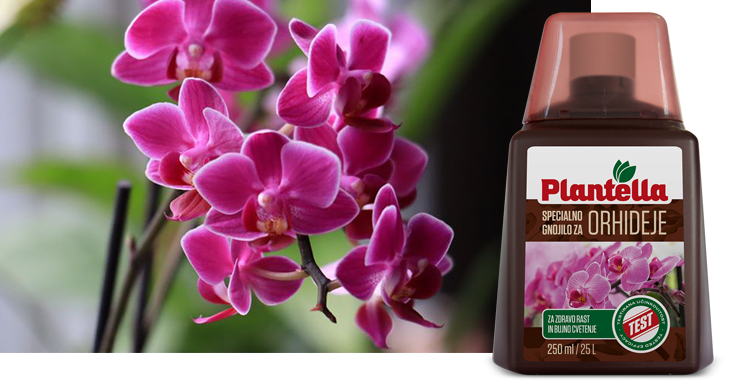 Plantella Specijalno đubrivo za orhideje